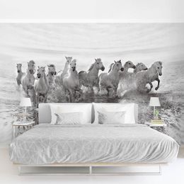 Fototapete Wei&szlig;e Pferde im Meer - Vliestapete nach Ma&szlig; Natur Strand Schwarz-Wei&szlig; Tiere Wohnzimmer Schlafzimmer Bad Badezimmer K&uuml;che Flur Esszimmer