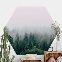 Hexagon Fototapete selbstklebend Wald im Nebel D&auml;mmerung