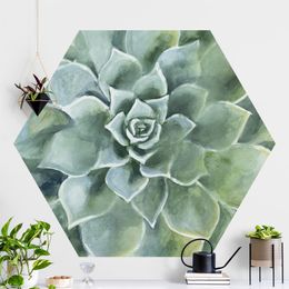 Hexagon Fototapete selbstklebend Sukkulente Aquarell Dunkel
