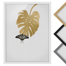 Bild mit Rahmen Goldene Monstera mit Schmetterling