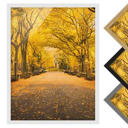 Bild mit Rahmen Herbst im Central Park