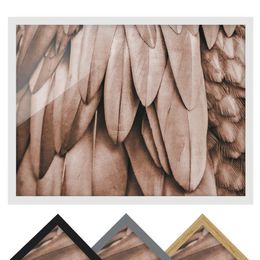 Bild mit Rahmen Federn in Rosegold