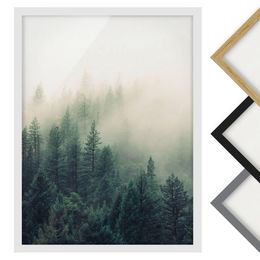 Bild mit Rahmen Wald im Nebel Erwachen