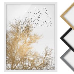 Bild mit Rahmen Vogelschwarm vor goldenem Baum