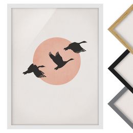 Bild mit Rahmen V&ouml;gel vor rosa Sonne III