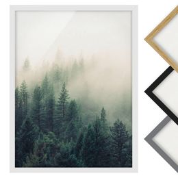 Bild mit Rahmen Wald im Nebel Erwachen