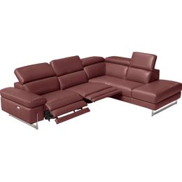 Ecksofa Egoitaliano "Candice, elegant, edel und bequem, erstklassiger Sitzkomfort, L-Form", braun, B:278cm H:100cm T:221cm, Leder &raquo;BULL&laquo; (echtes Rindsleder). Geschliffenes, pigmentiertes und behandeltes Rindsleder mit einer Dicke von 1, 3-1, 5 mm. Dieses Leder zeigt eine ziemlich weiche Hand mit einem halb undurchsichtigen Aussehen. Es handelt sich um ein gesch&uuml;tztes Leder. Eine leichte Deckschich
