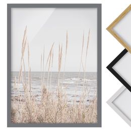 Bild mit Rahmen Gr&auml;ser am Meer