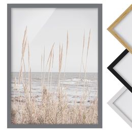 Bild mit Rahmen Gr&auml;ser am Meer