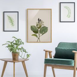 Bild mit Rahmen Film Ab im Garten