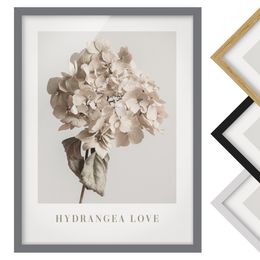 Bild mit Rahmen Hydrangea Love