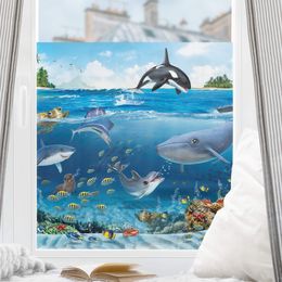 Fensterfolie Unterwasserwelt mit Tieren
