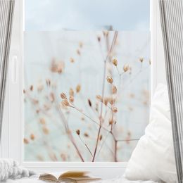 Bilderwelten Fensterfolie Fensterhaftfolie Tropisch Sichtschutz beige - Pastellknospen am Wildblumenzweig - Gr&auml;ser Wohnzimmer Schlafzimmer K&uuml;che