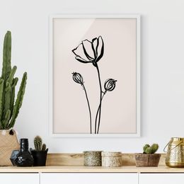 Bild mit Rahmen Mohn Illustration II