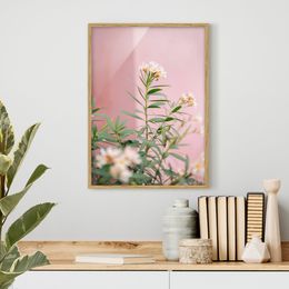 Bild mit Rahmen Sanfte Bl&uuml;ten vor Pink