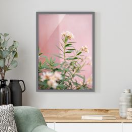Bild mit Rahmen Sanfte Bl&uuml;ten vor Pink