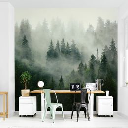 Fototapete Tiefgr&uuml;ner Tannenwald im Nebel - Wandtapete, Motivtapeten, Bildtapeten - selbstklebende Tapete oder Tapeten inkl. Kleister