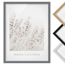 Bild mit Rahmen White Lavender