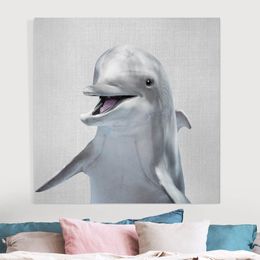 Leinwandbild Delfin Diddi