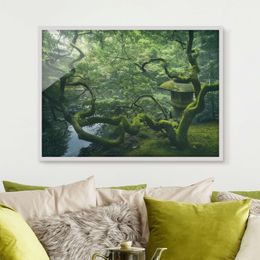 Bild mit Rahmen Magischer Baum