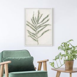 Bild mit Rahmen Pfl&auml;nzchen