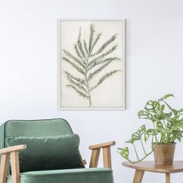 Bild mit Rahmen Pfl&auml;nzchen