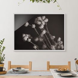 Bild mit Rahmen G&auml;nsebl&uuml;mchen Studie