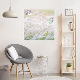 Glasbild Weiche Gr&auml;ser