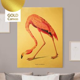 Leinwandbild Boho Vogel - Flamingo