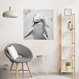 Glasbild Delfin Diddi Schwarz Wei&szlig;