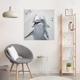 Glasbild Delfin Diddi
