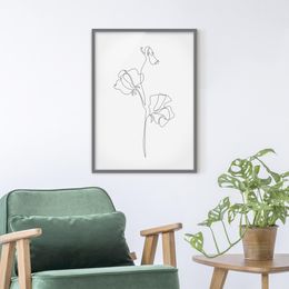 Bild mit Rahmen Line Art Blumen - Erbsenpflanze