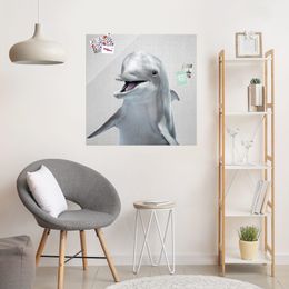 Glasbild Delfin Diddi