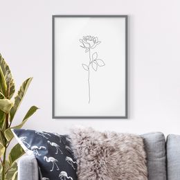 Bild mit Rahmen Line Art Blumen - Rose