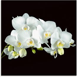 Glasbild Artland "Weiße Orchidee auf schwarzem Hintergrund", weiß (farbe bild(er): weiß), B:20cm H:20cm, Bilder, in verschiedenen Größen