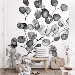Fototapete Schwarz Wei&szlig; Aquarell Eukalyptuszweig - Vliestapete nach Ma&szlig; Aquarell Botanik Tropical Kunstdruck Wohnzimmer Schlafzimmer Bad Badezimmer