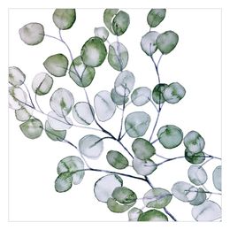 Fototapete Gr&uuml;nes Aquarell Eukalyptuszweig - Vliestapete nach Ma&szlig; Aquarell Botanik Tropical Kunstdruck Wohnzimmer Schlafzimmer Bad Badezimmer K&uuml;che