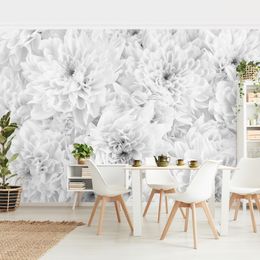 Fototapete Dahlien Blumenmeer Schwarz-Wei&szlig; - Vliestapete nach Ma&szlig; Blumen Floral Landhausstil Wohnzimmer Schlafzimmer Bad Badezimmer K&uuml;che Flur