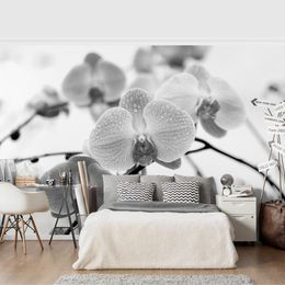 Fototapete Nahaufnahme Orchidee Schwarz-Wei&szlig; - Vliestapete nach Ma&szlig; Landhausstil Wohnzimmer Schlafzimmer Bad Badezimmer K&uuml;che Flur Esszimmer
