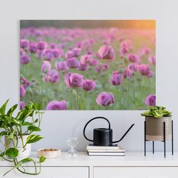 Leinwandbild Violette Schlafmohn Blumenwiese im Fr&uuml;hling - Wandbild bis XXL Print Blumen Floral Wohnzimmer Schlafzimmer Bad Badezimmer K&uuml;che Flur
