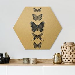 Hexagon-Alu-Dibond Bild Tusche Schmetterlinge auf Beige