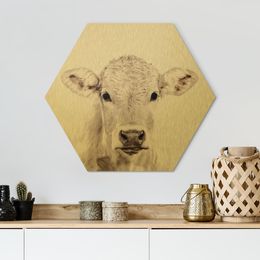 Hexagon-Alu-Dibond Bild Wei&szlig;es Kalb