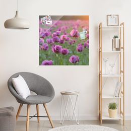 Glasbild Blumen Violette Schlafmohn Blumenwiese im Fr&uuml;hling