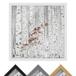 Wald Bild mit Rahmen Birken im Herbst