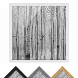 Wald Bild mit Rahmen Birken im November