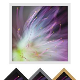 Blumen Bild mit Rahmen Bl&uuml;tenstaub