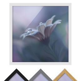 Blumen Bild mit Rahmen Behind Closed Eyes