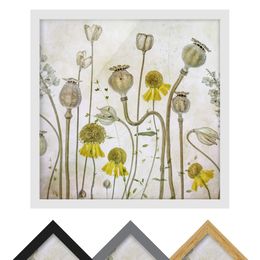 Blumen Bild mit Rahmen Mohn und Helenium