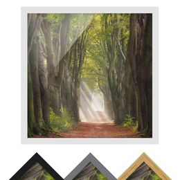 Wald Bild mit Rahmen Herrlicher Tag im Wald