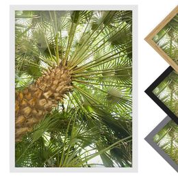 Wald Bild mit Rahmen Tropical Island
